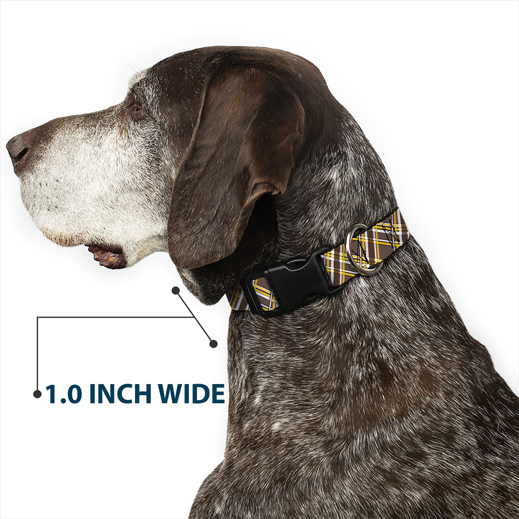 Plastic Clip Collar Plaid X Brown/White/Gold NARROW-Small 7-8.5 ...