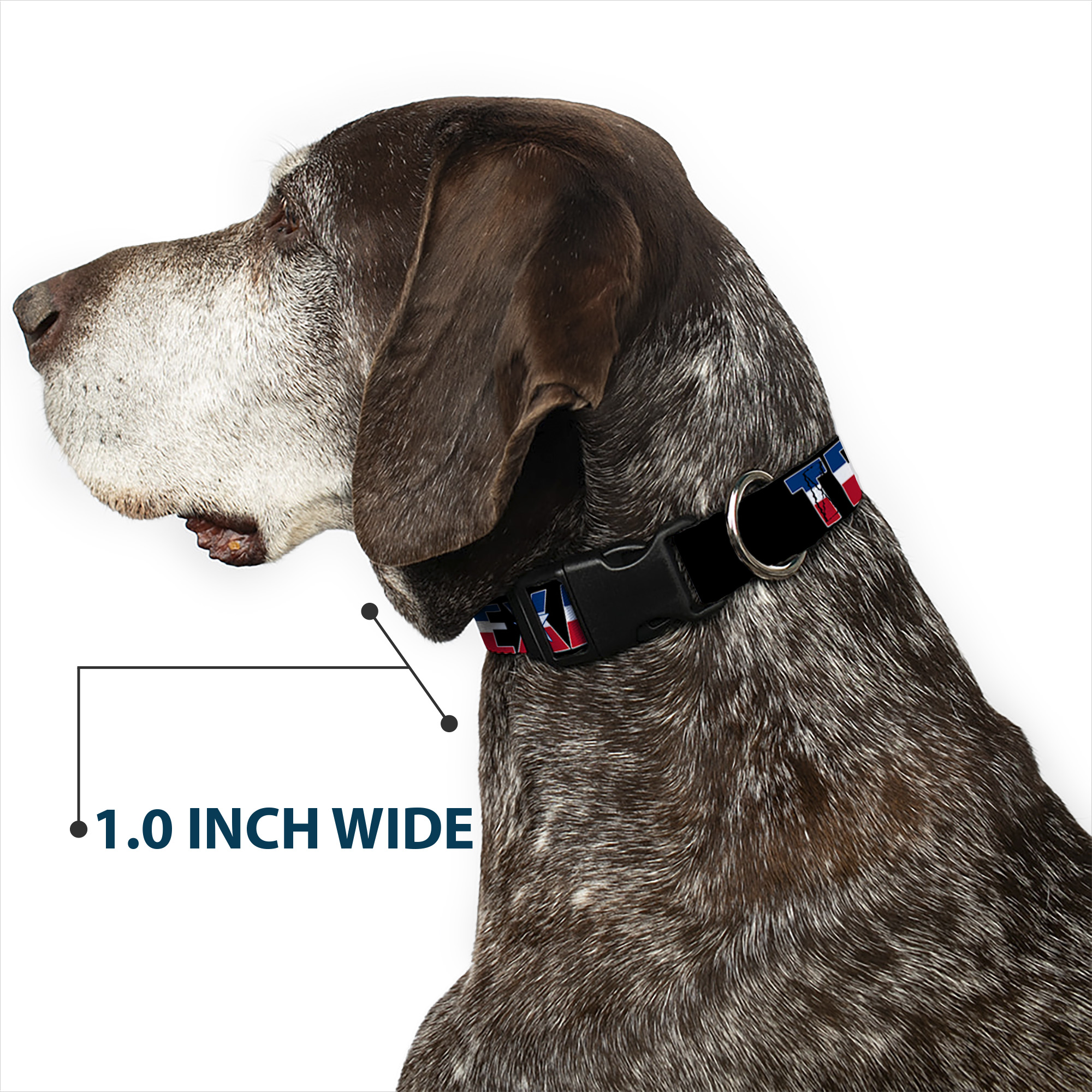 Plastic Clip Collar TEXAS w/Star Black/White/Blue/Red Small 9.5-13" (US ...