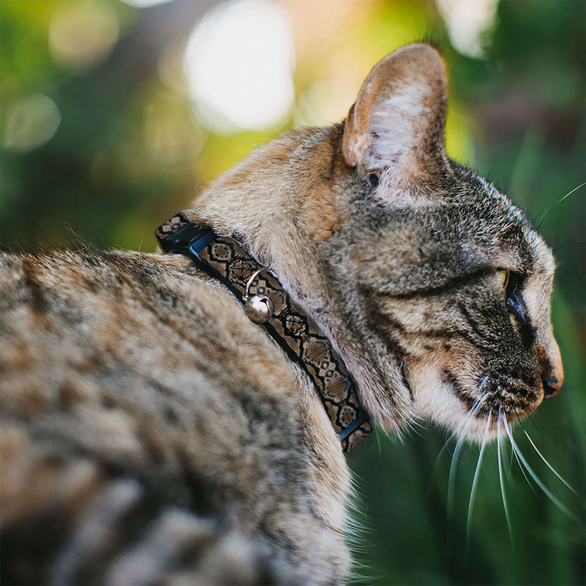 Cat Collar Breakaway with Bell Snake Skin 1 NARROW Fits 8.5-12 ...