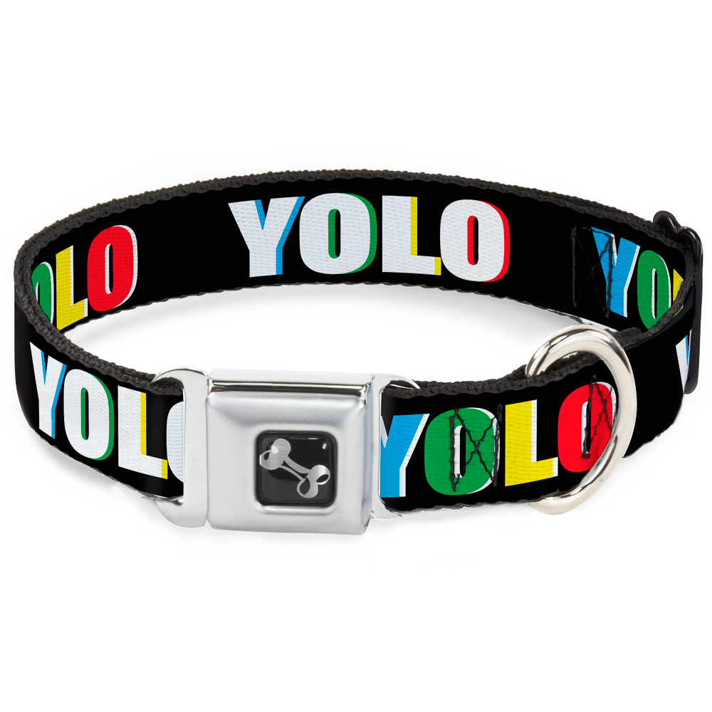 Dog Collar Bone YOLO Black/Multi Color Medium 11-16.5" 700146734158| eBay