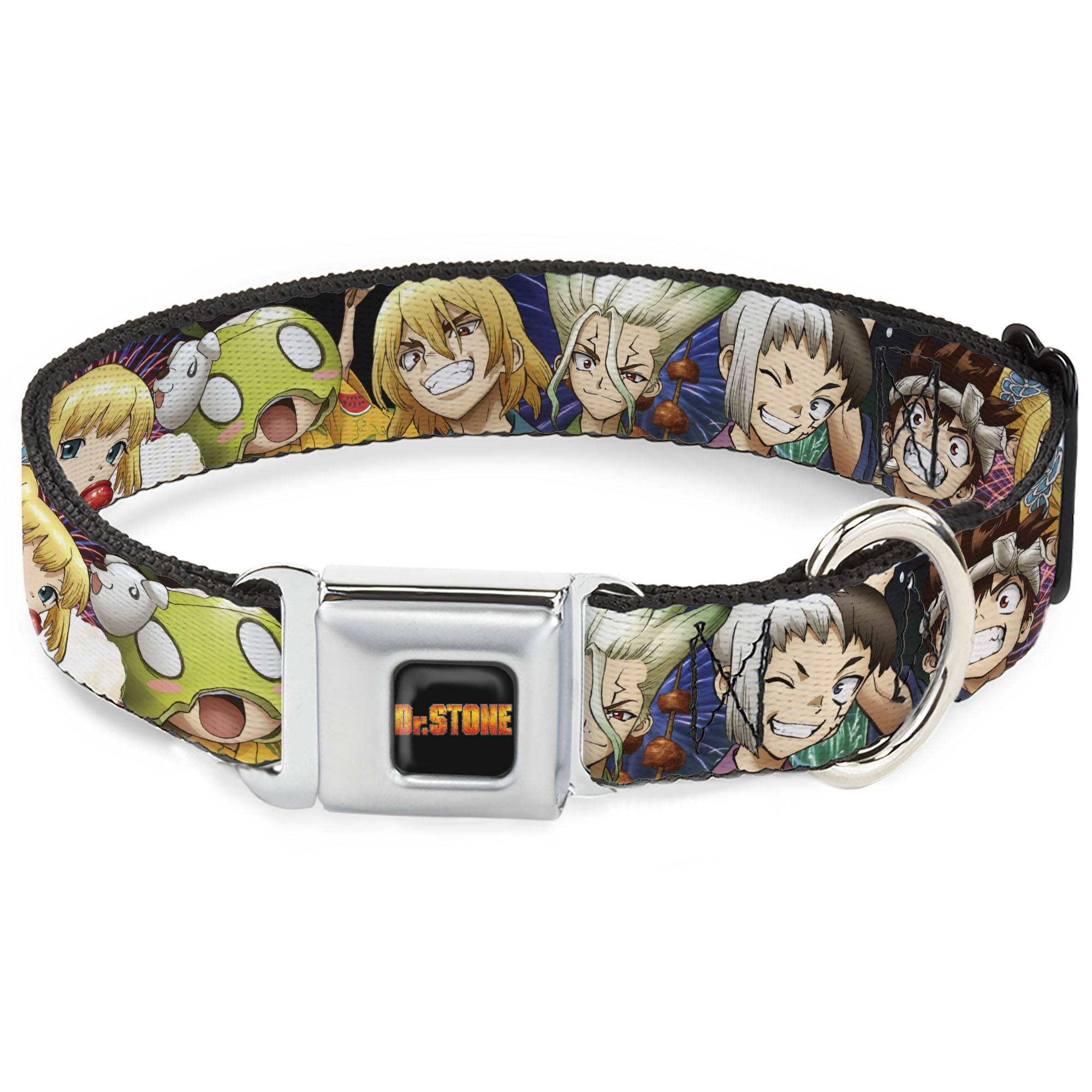 Dog Collar CDSA-DR. STONE Title Logo Full Color Black/Orange Dr. Sto ...