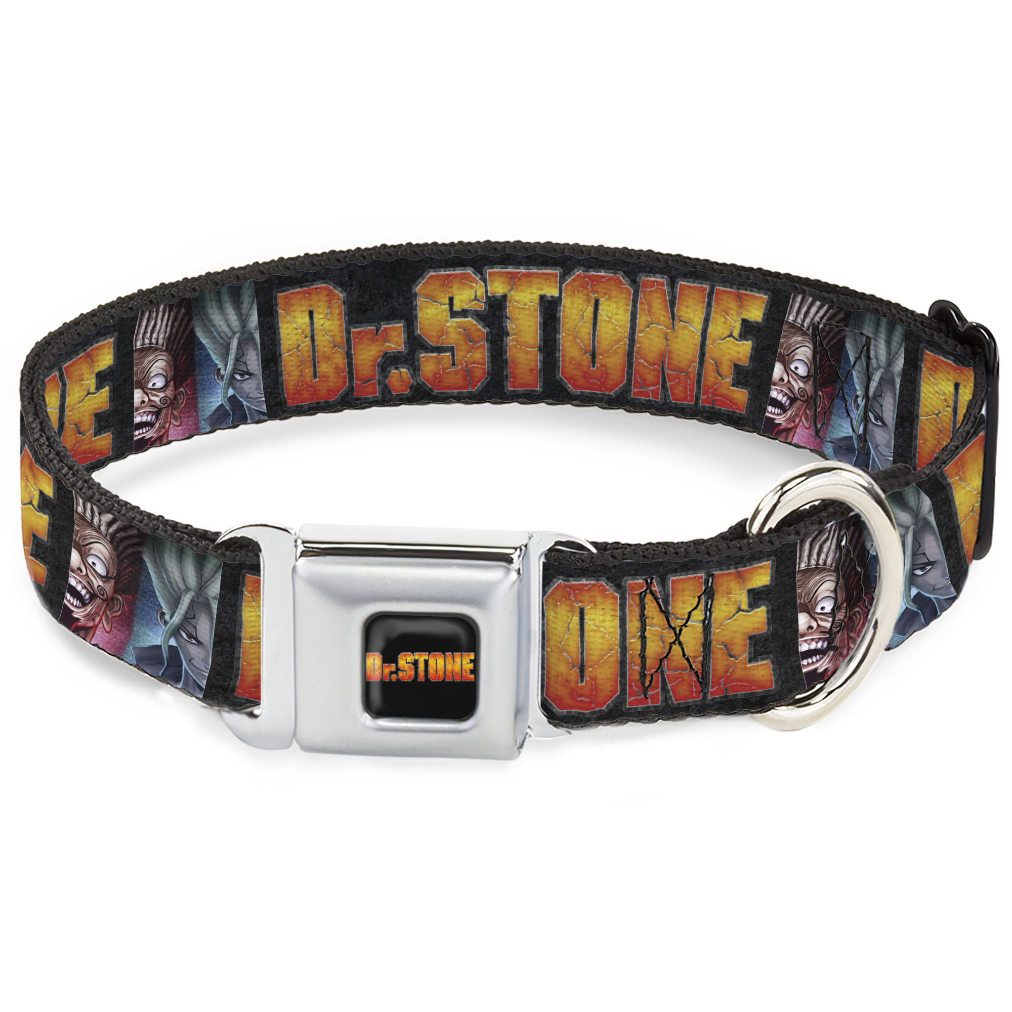 Dog Collar CDSA-DR. STONE Title Logo Full Color Black/Orange DR. STO ...