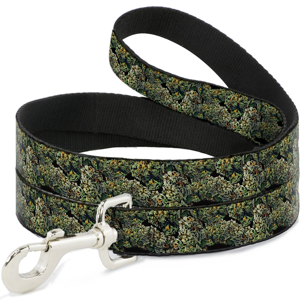 Dog Leash 6-FEET Nuggets Stacked WIDE 1.5" (US IMPORT) 190882502768 ...