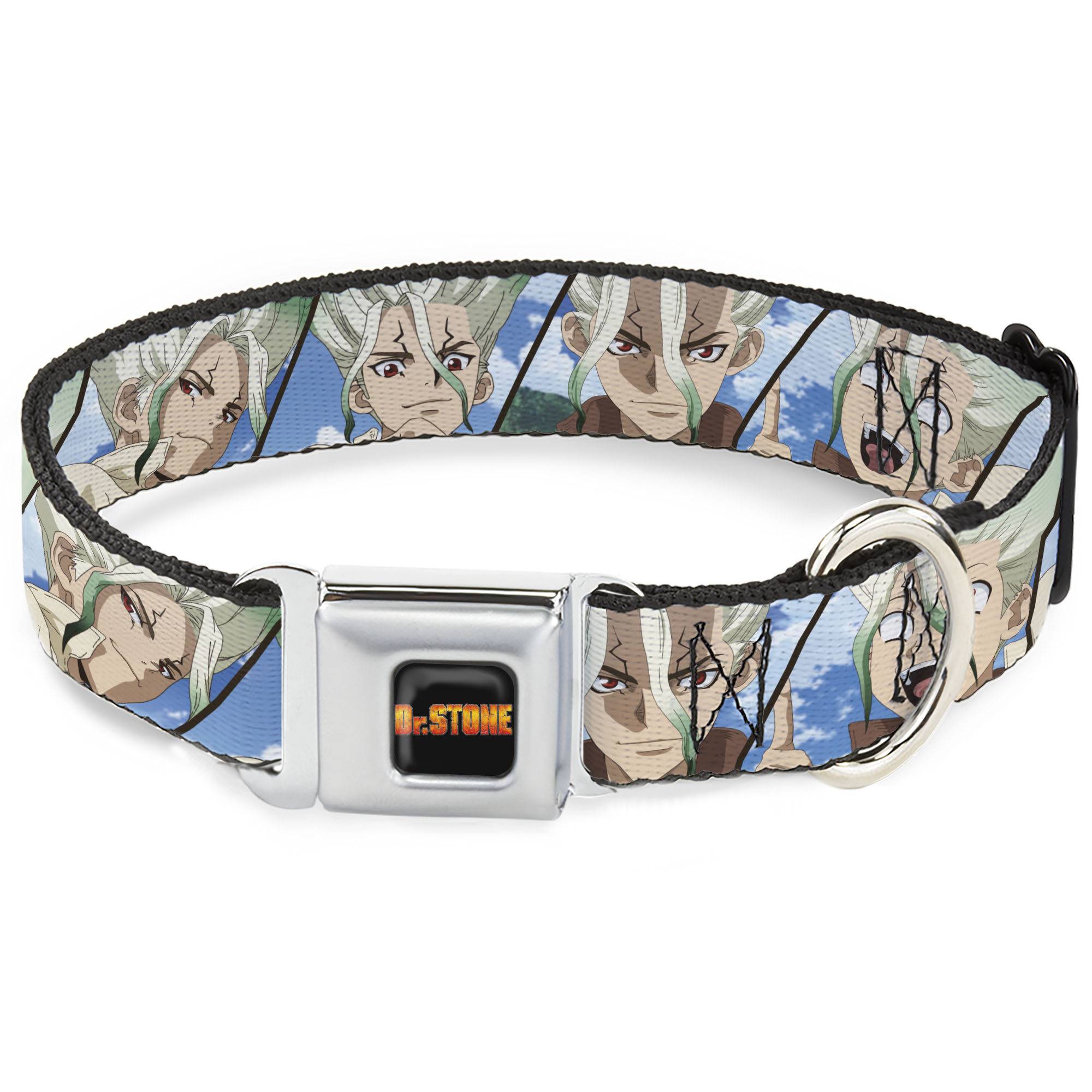 Dog Collar CDSA-DR. STONE Title Logo Full Color Black/Orange Dr. Stone ...