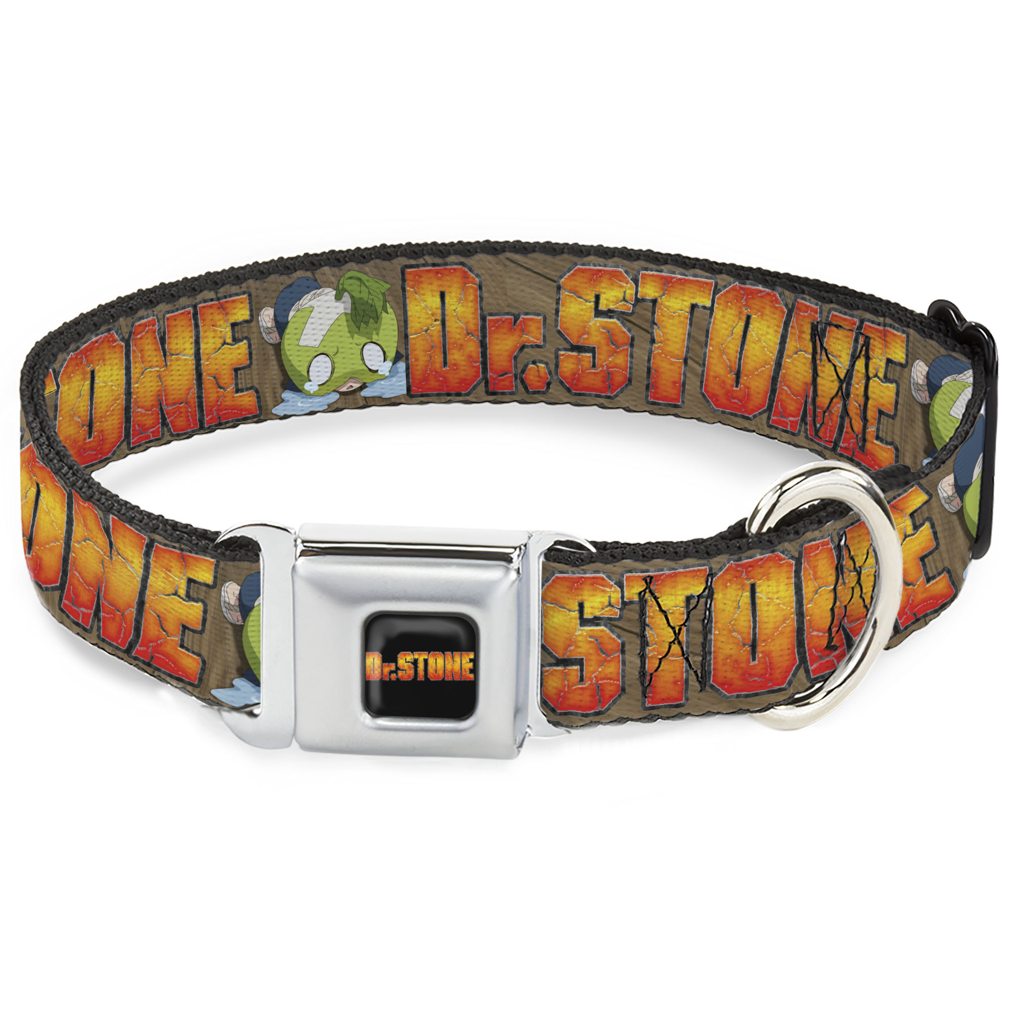 Dog Collar CDSA-DR. STONE Title Logo Full Color Black/Orange DR. STO ...