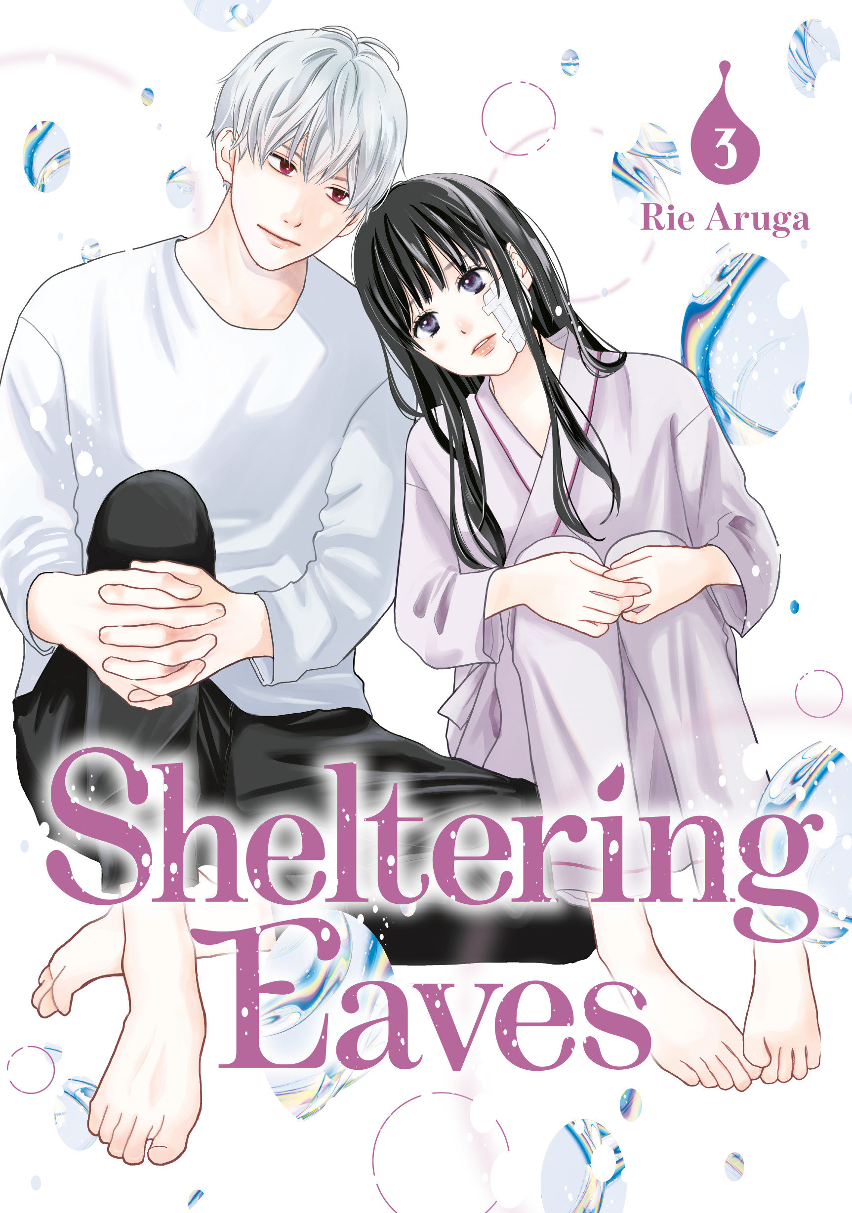 Rie Aruga Sheltering Eaves 3 (Paperback) Sheltering Eaves 9798888773253 ...