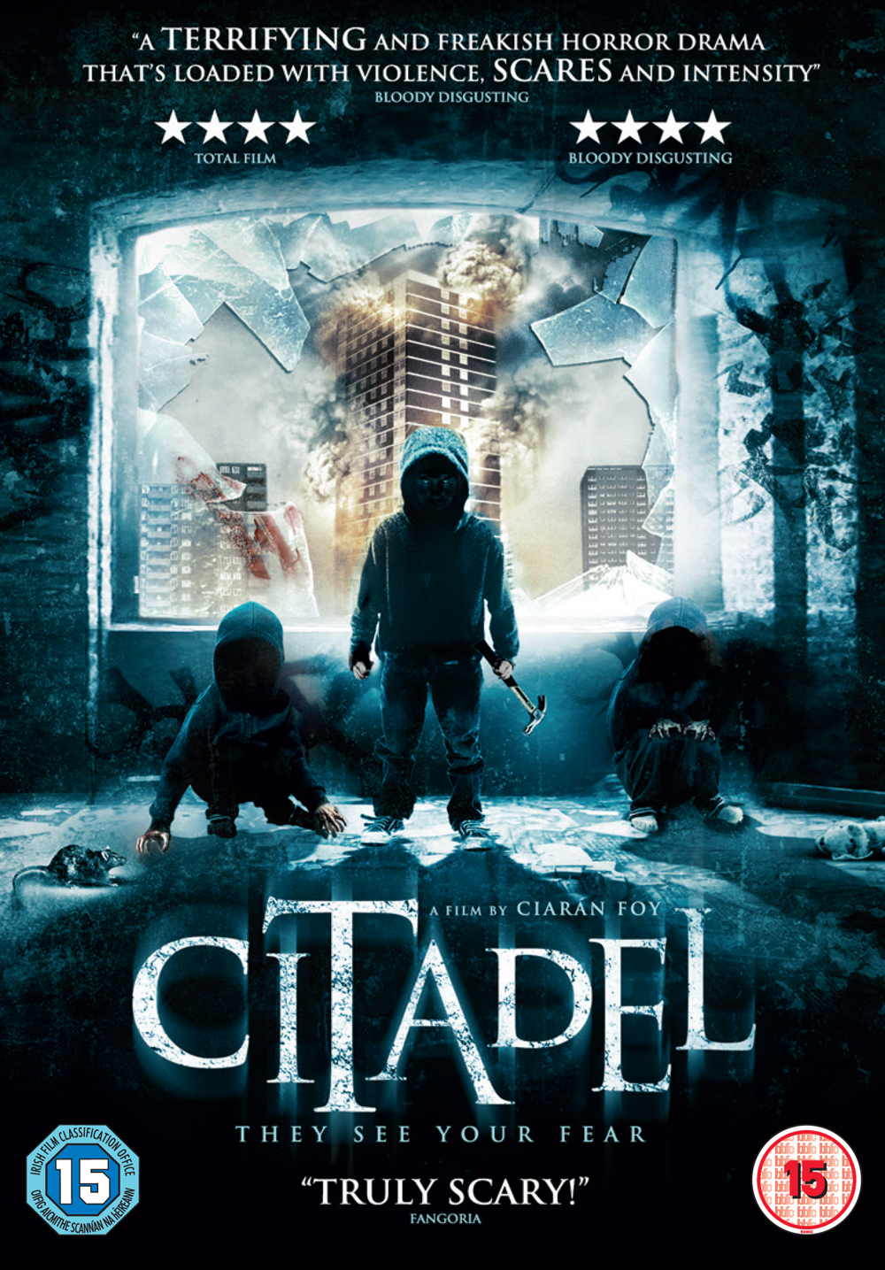 CITADEL (DVD) ANEURIN Barnard James Cosmo Wunmi Mosaku Jake Wilson Amy ...