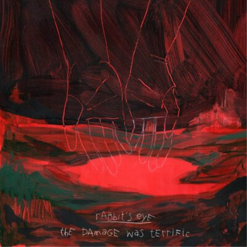 RABBIT'S EYE THE Damage Was Terrific (CD) Album EUR 11,90 - PicClick FR