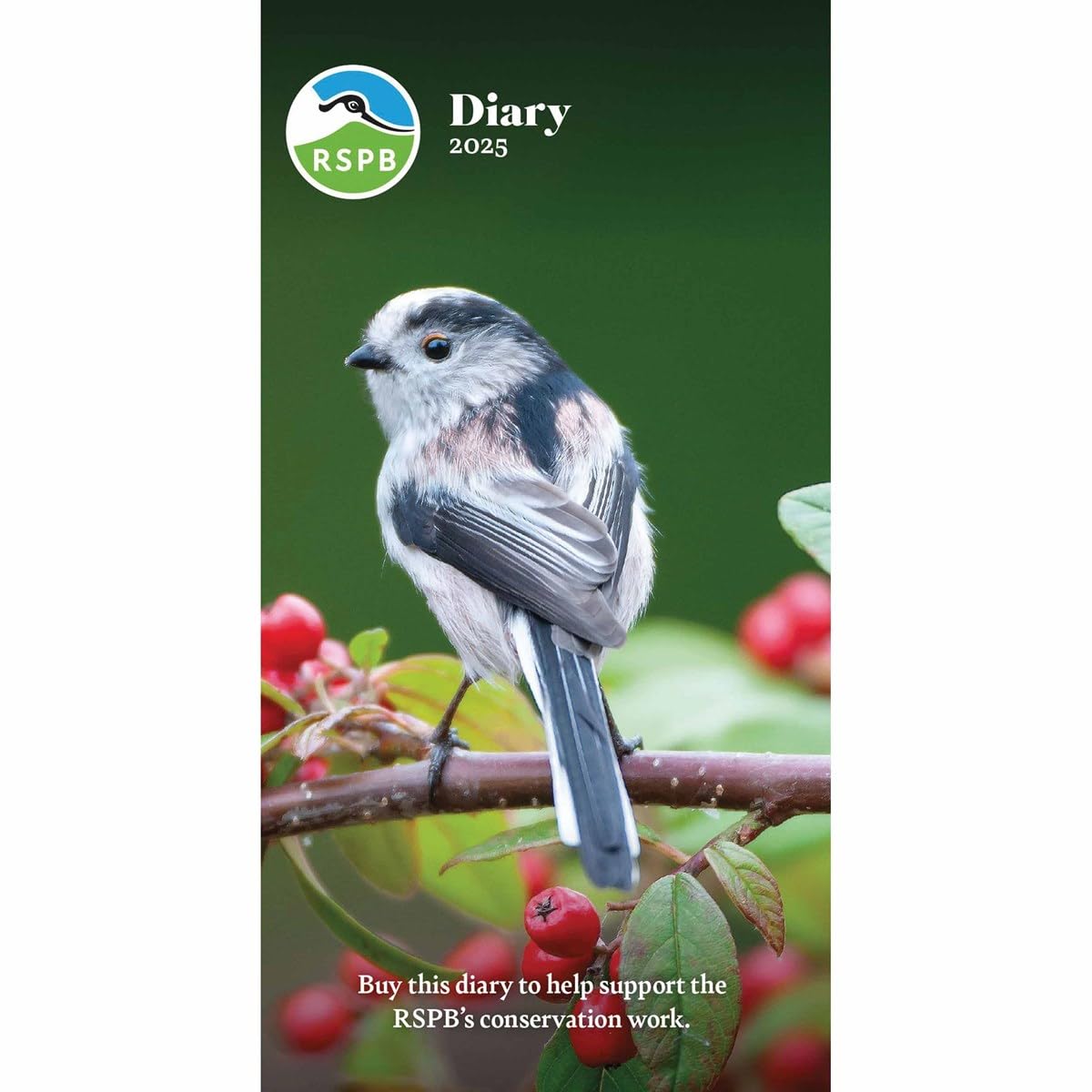 Carousel Calendars RSPB Slim Diary 2025 (PFP) 9781529841602 | eBay